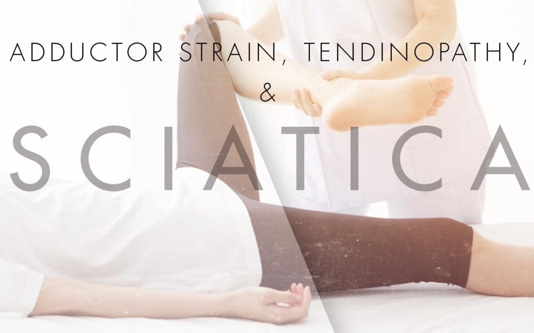 Adductor Strain, Tendinopathy, and Sciatica - El Paso Back Clinic ...