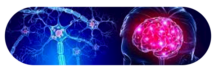 El Paso Back Clinic® El Paso Tx Wellness Chiropractic Care Clinic